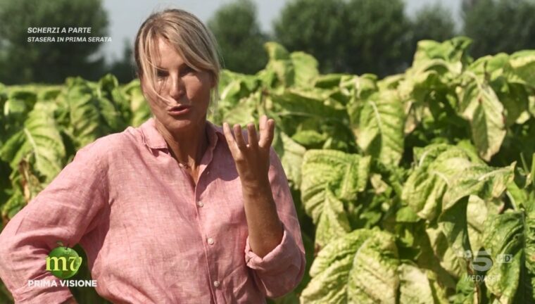 Melaverde | Puntata del 6 novembre 2022 | Temi | Luoghi